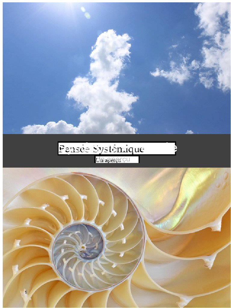 Introduction à la pensée systémique | PDF | Entropie | Science