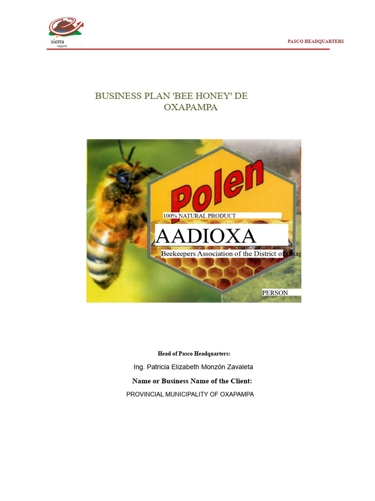 Beekeeping Business Plan - Oxapampa | PDF | Beekeeping | Beehive