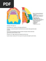 Maxillary Dental Injection Techniques | PDF | Dentistry | Dentistry ...