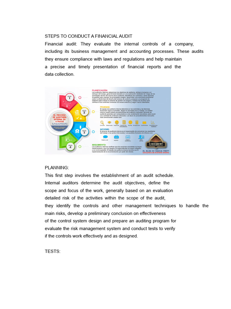 Steps To Conduct A Financial Audit | PDF