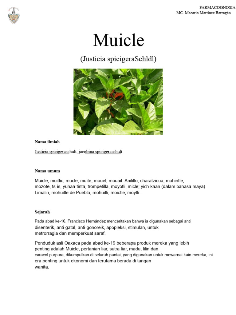 Manfaat dan Penggunaan Muicle dalam Farmakognosia | PDF