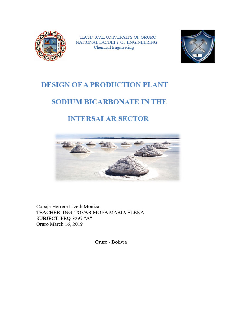 Sodium Bicarbonate Production Plant Design | PDF | Sodium Carbonate ...