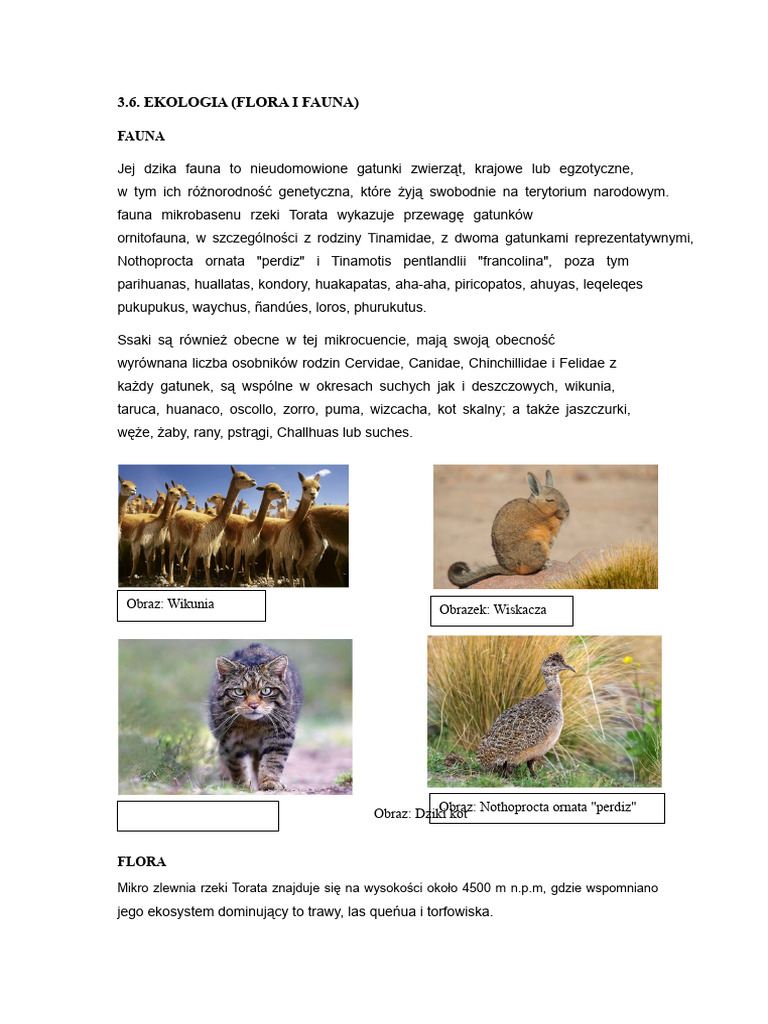 Flora I Fauna | PDF