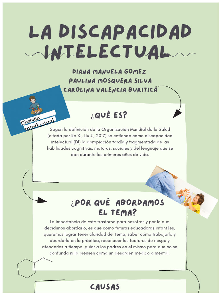 Intellectual Disability | PDF