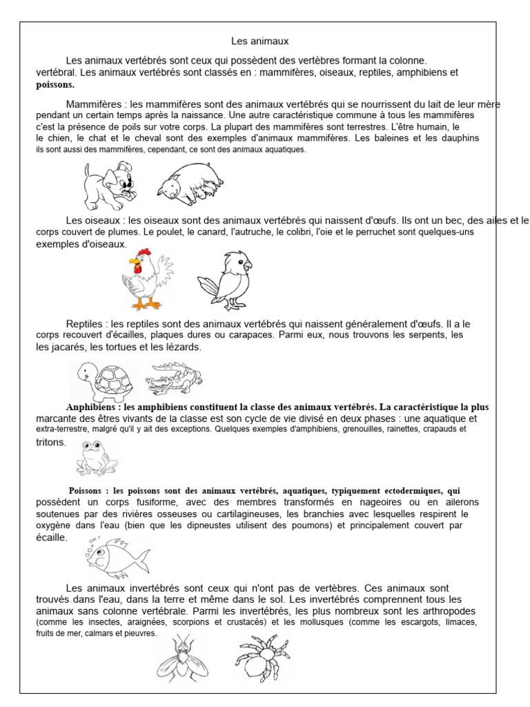 Vertébrés et Invertébrés : Guide Complet | PDF