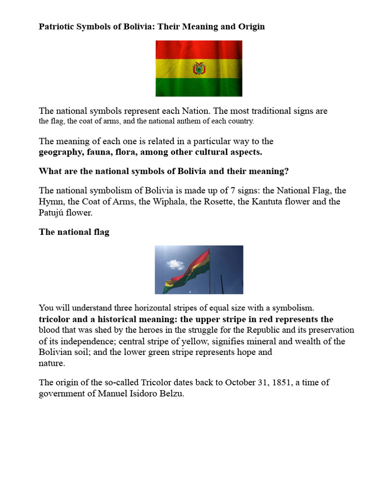 Bolivia's National Symbols Explained | PDF | Symbols | Flag