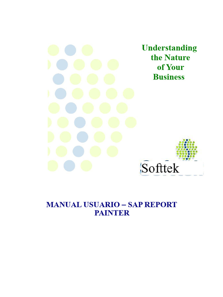 SAP Report Painter User Manual | PDF | Variable (Mathematics) | Information Technology