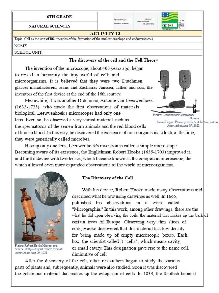 Activity 13 6th Year CIE Theories of Cellular Formation 1 | PDF | Cell ...