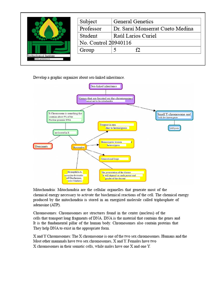Sex-Linked Inheritance (Graphic Organizer) | PDF