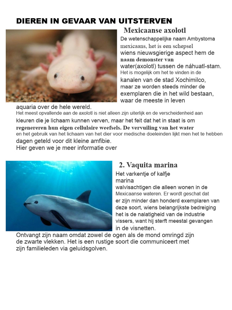 Dieren in Gevaar Van Uitsterven | PDF