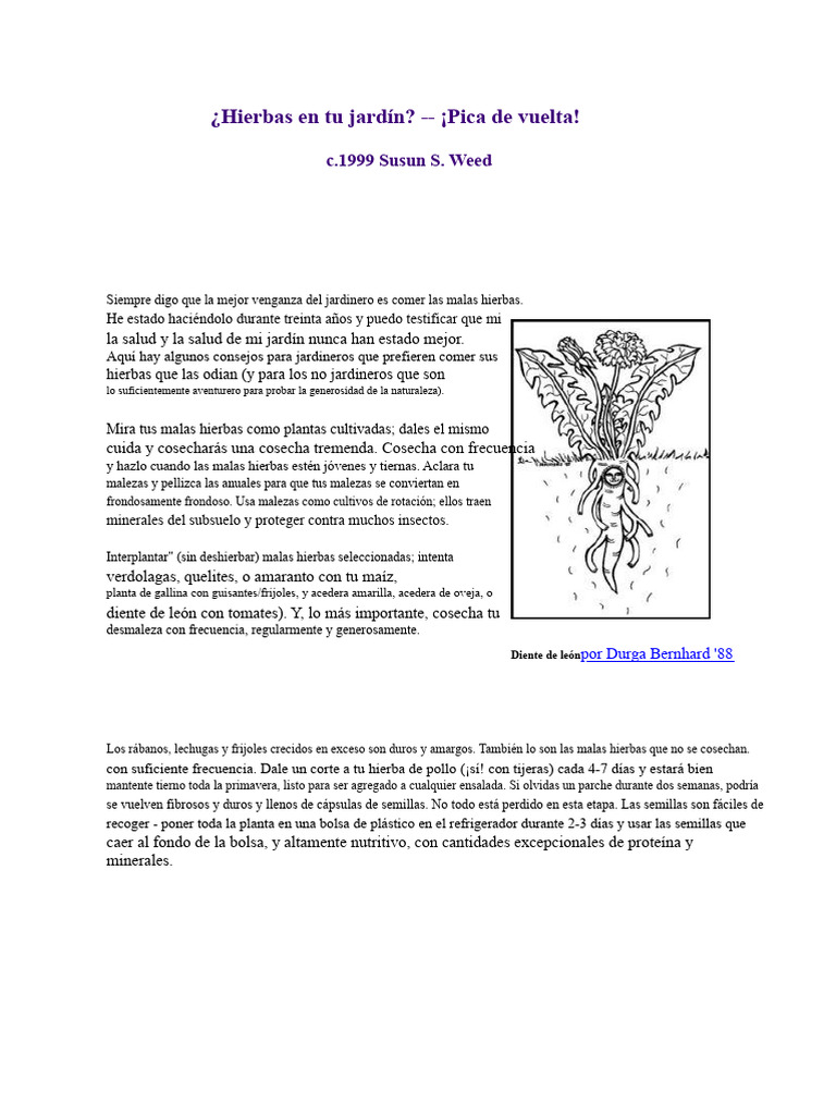 Paseos de Hierbas de Susan Weed | PDF | Hierba | ensalada