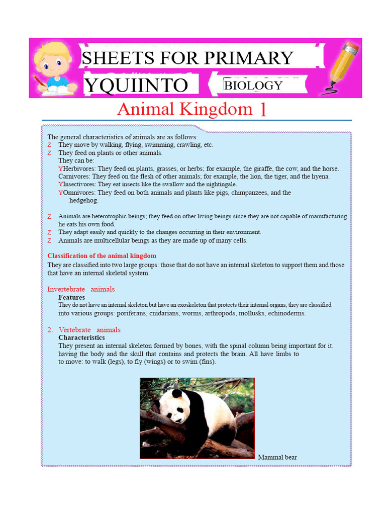 Animal Kingdom For Fifth Grade | PDF | Skeleton | Invertebrate