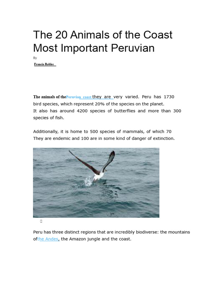 The 20 Animals of The Coast Most Important Peruvian | PDF | Peru | Birds