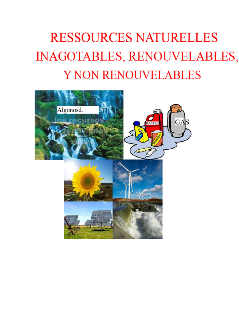 Types et importance des ressources naturelles | PDF | Économie ...