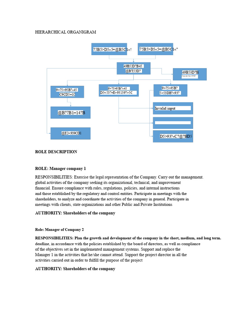 Project Organizational Chart Definition of Roles | PDF | Regulatory ...