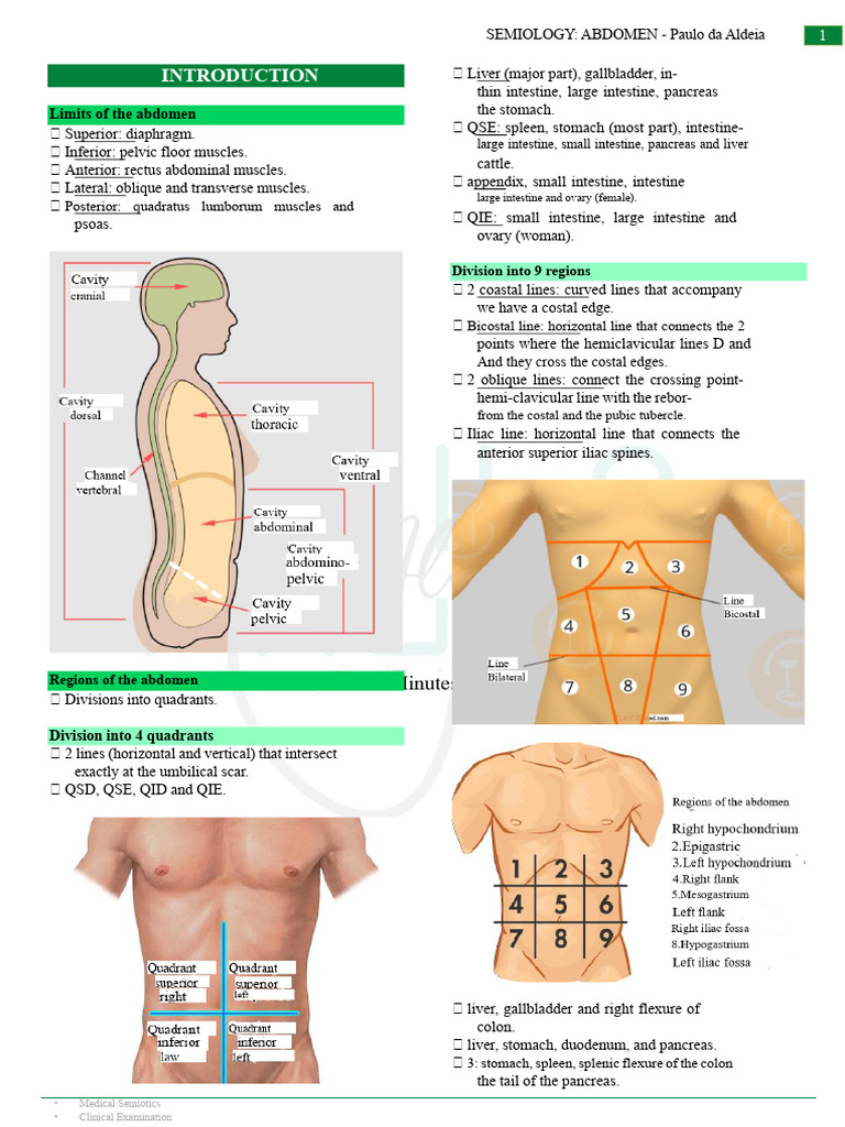 Semiology - 12 Abdomen (Paulo) | PDF | Abdomen | Medical Specialties