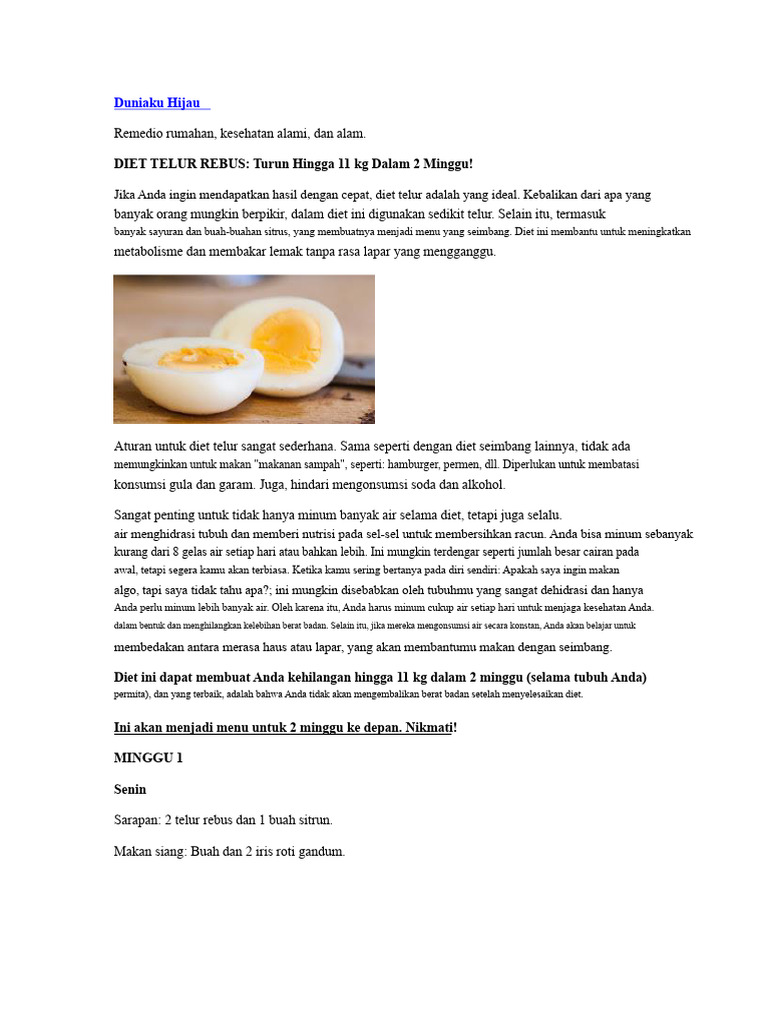 Diet Telur | PDF