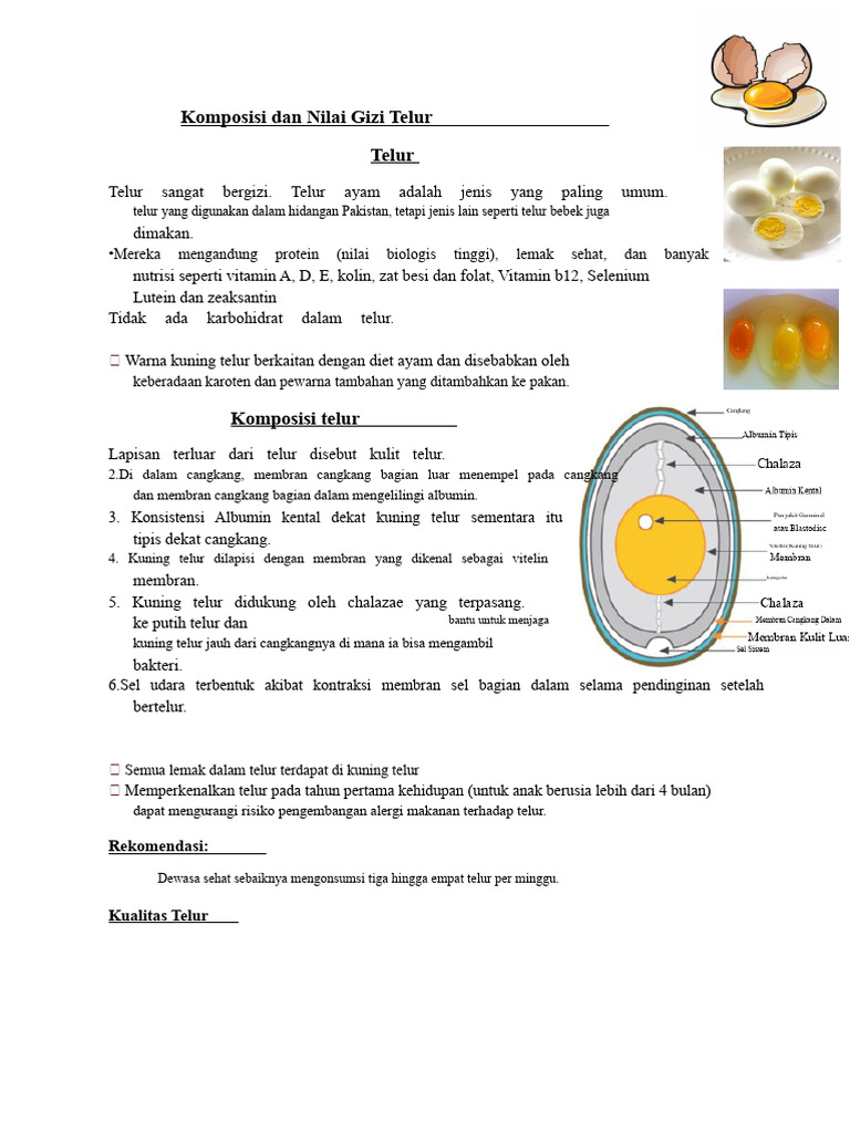 Telur Dan Air | PDF