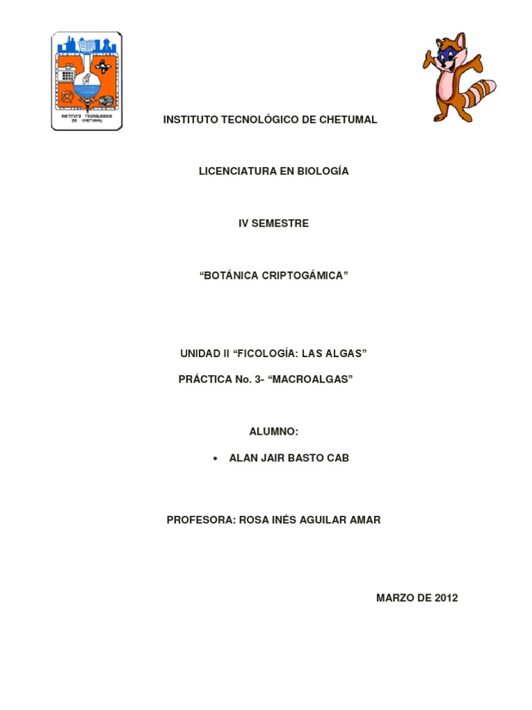 Práctica 3 - Macroalgas | PDF | Algas | Eucariotas