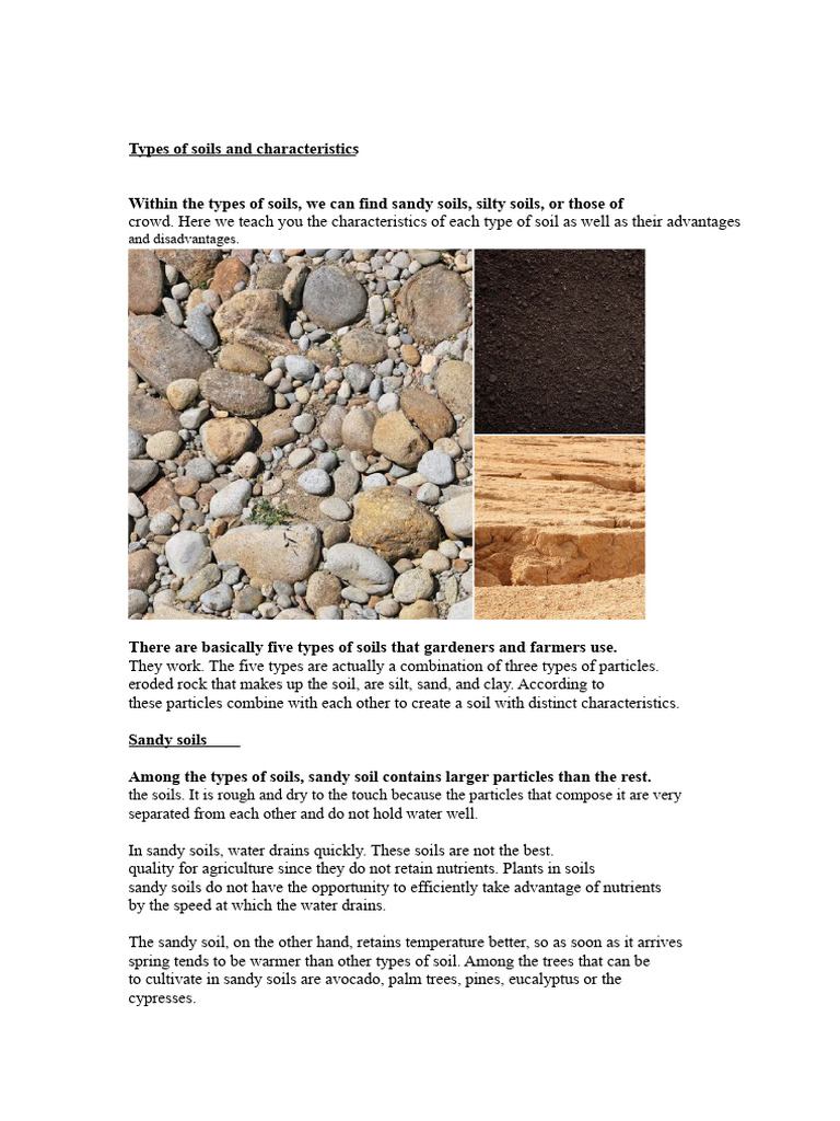 Types of Soils and Characteristics | PDF | Soil | Silt