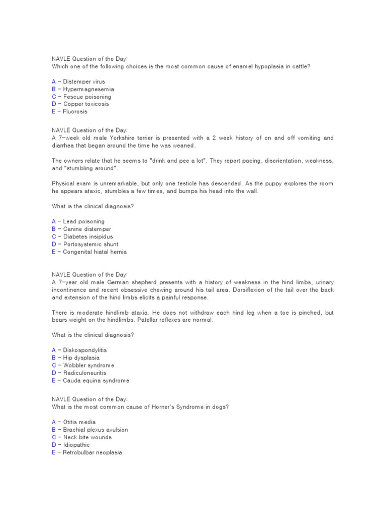 NAVLE Question of The Day | PDF | Medical Specialties | Health Sciences