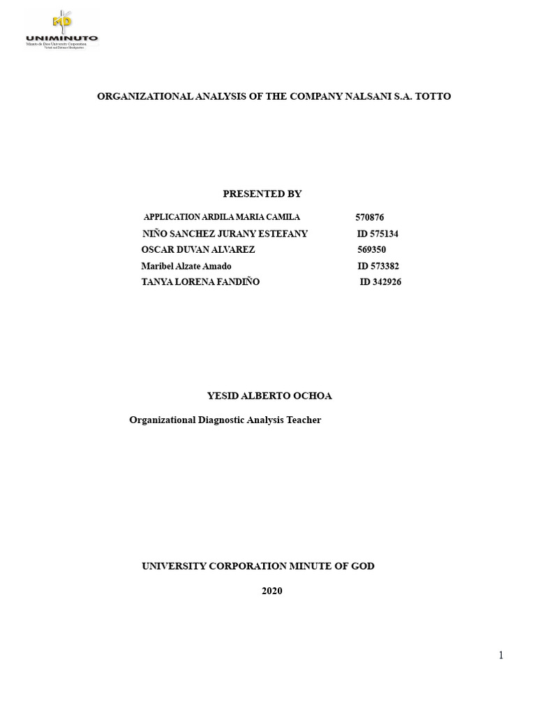 Nalsani S.A. Totto Organizational Analysis | PDF | Brand | Swot Analysis