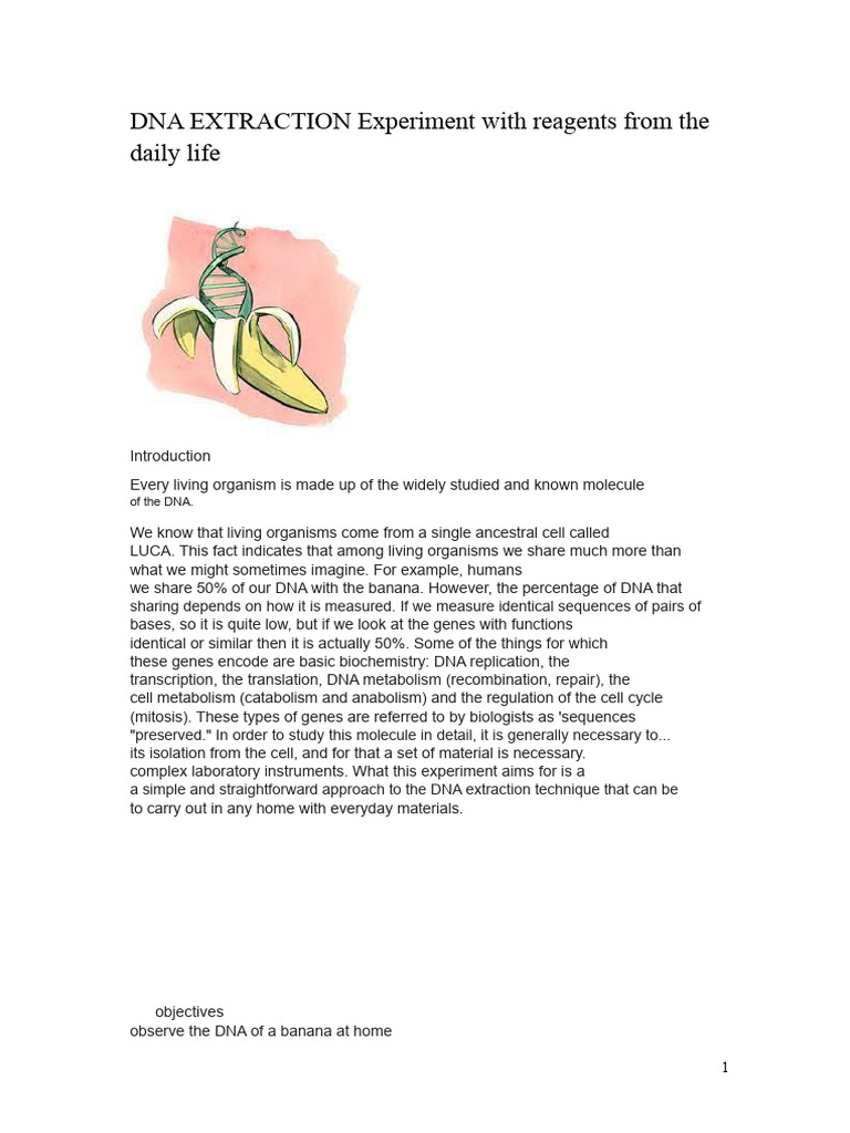 Home DNA Extraction from Banana | PDF | Dna | Gene