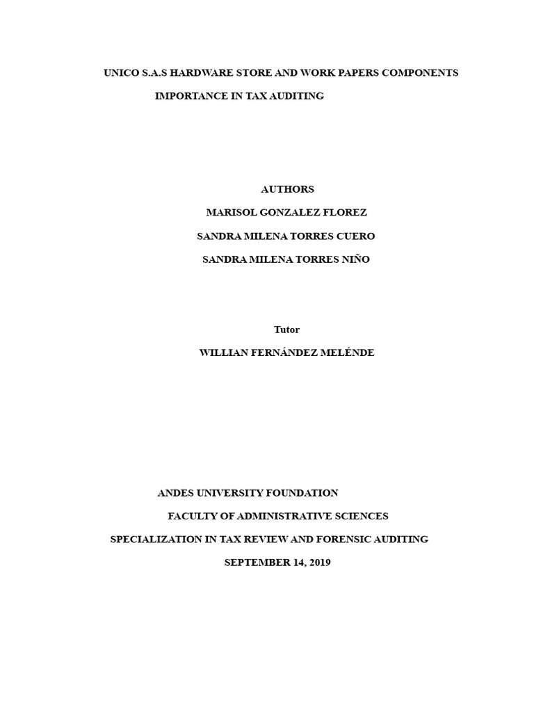 TAX AUDIT Axis 3 WORKPAPERS | PDF | Audit | Income