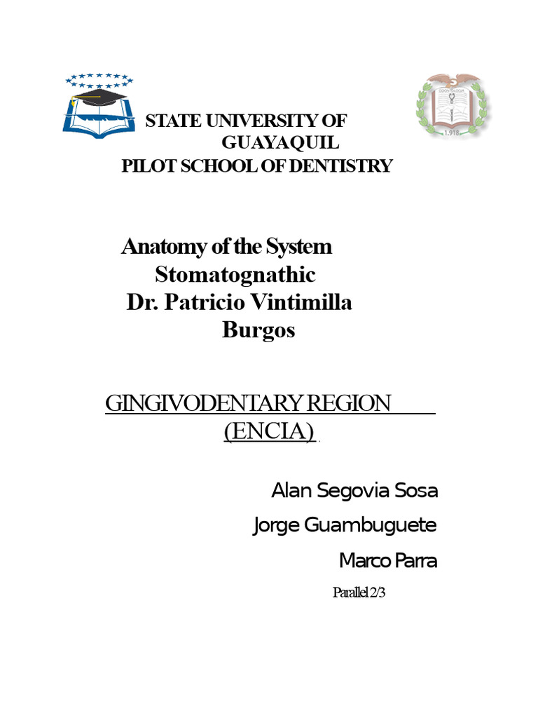Group #3 Gingivodental Region (Gum) | PDF | Human Anatomy | Mouth