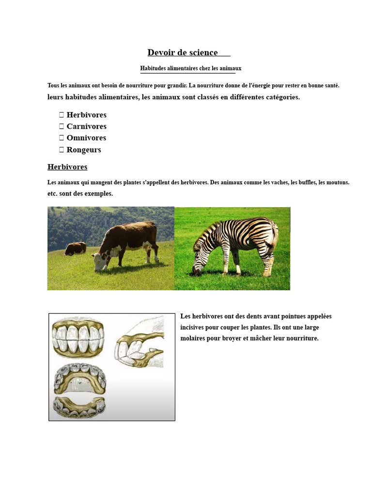 Habitudes alimentaires des animaux | PDF