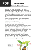 Butterfly Camouflage Classroom Activity | PDF | Camouflage | Mimicry