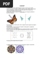 Symétrie radiale vs bilatérale expliquée | PDF | Symétrie