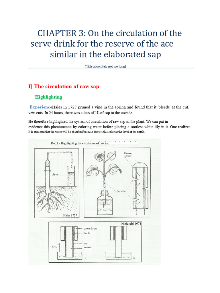 From The Circulation of Raw Sap To The Storage of Photosynthetic ...