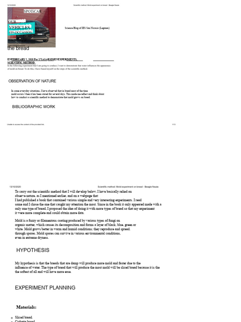 Scientific Method - Mold Experiment On Bread - Beagle Nauta | PDF ...