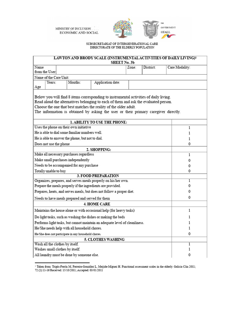 3b Lawton and Brody Scale | PDF