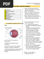 Anatomie du diaphragme stylien | PDF | Tête et cou chez l'humain ...