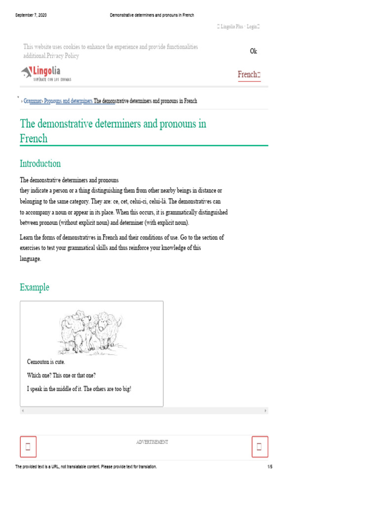French Demonstrative Pronouns Guide | PDF | Grammatical Gender ...