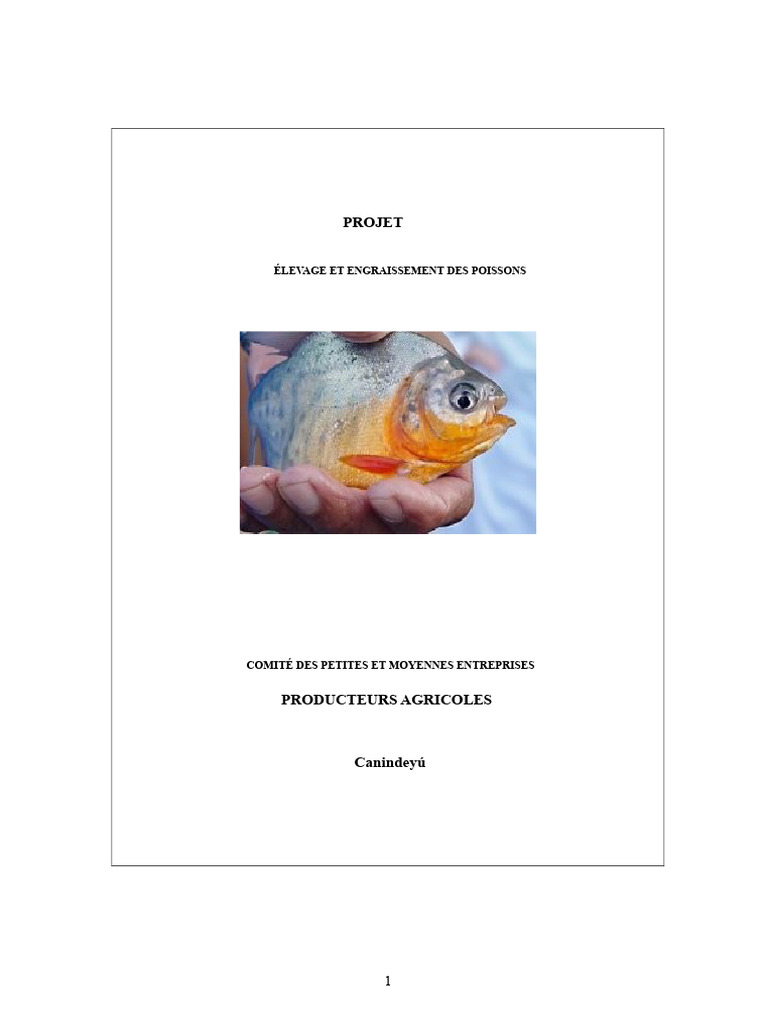 Projet D'élevage de Poissons Canindeyu | PDF | Eaux usées | Aquaculture