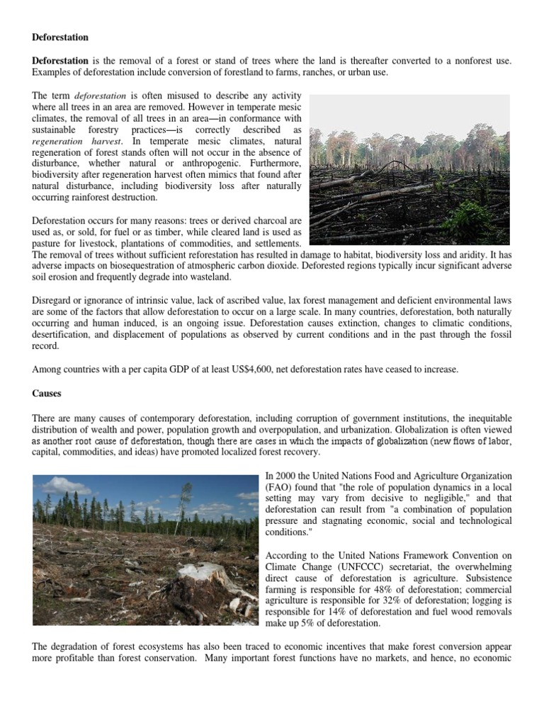 Deforestation | PDF | Deforestation | Soil