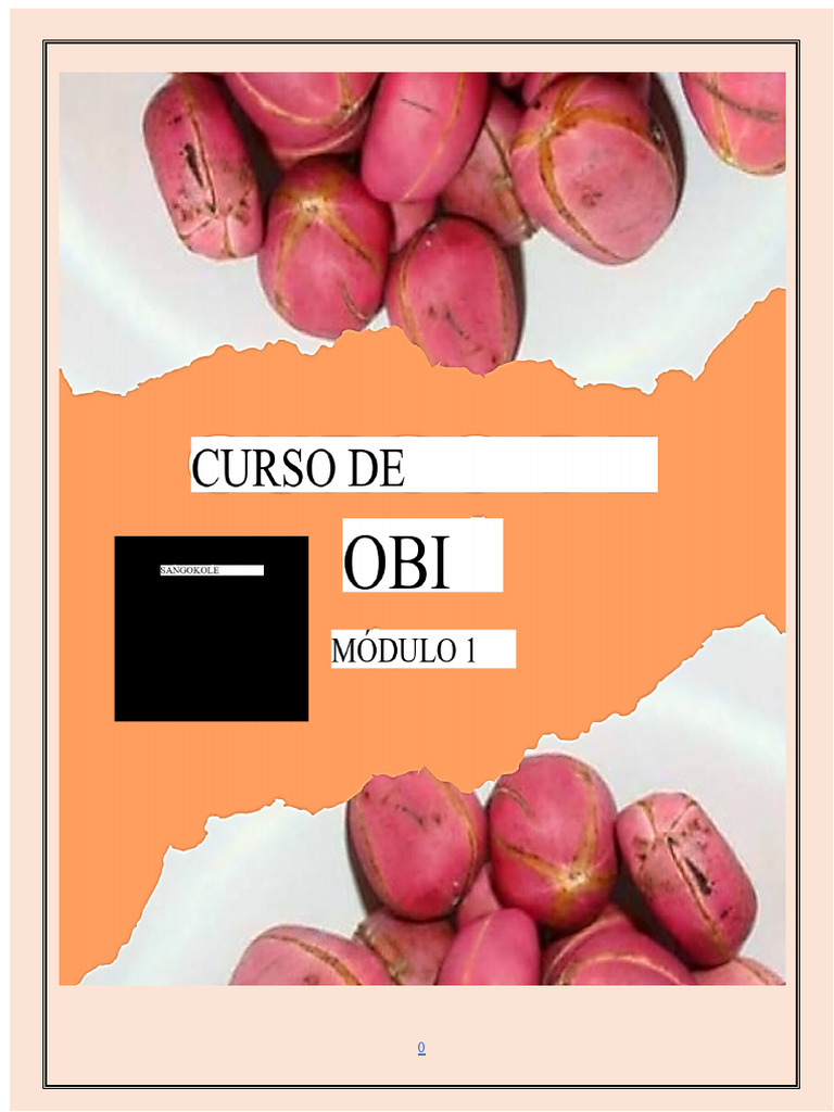 Obì: Anatomía y Tipos de Fruto | PDF | Oración