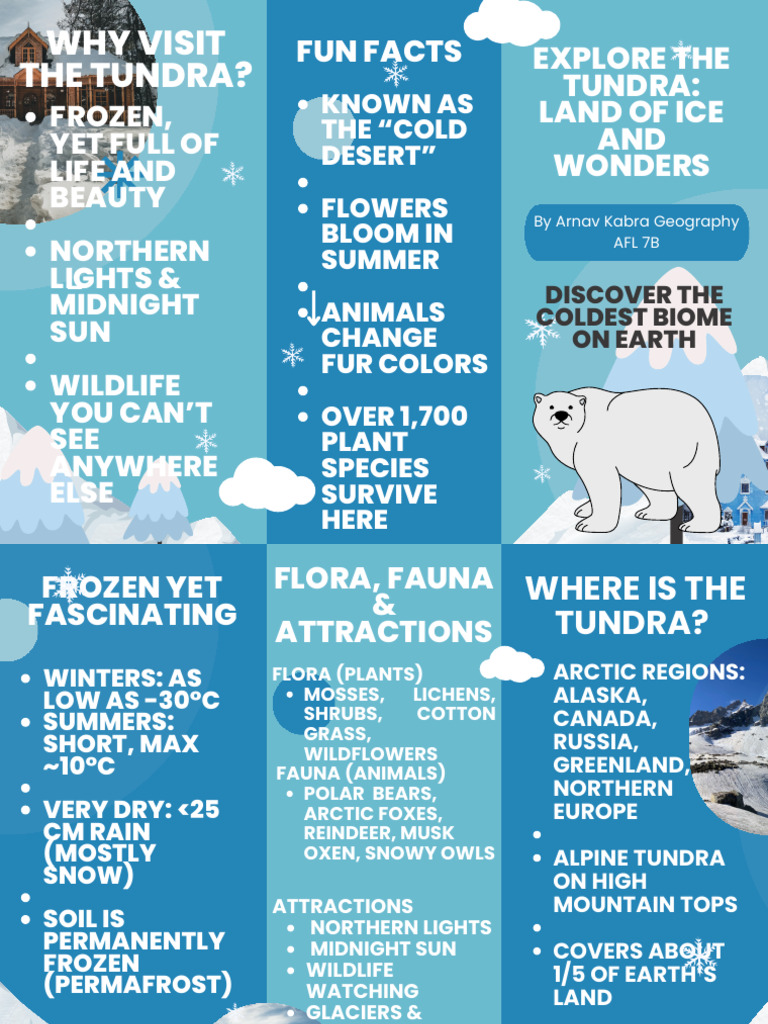 Geography AFL Arnav Kabra 7B | PDF