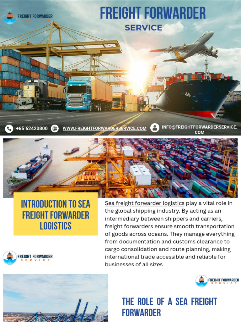 Sea Freight Forwarder Logistics Guide | PDF