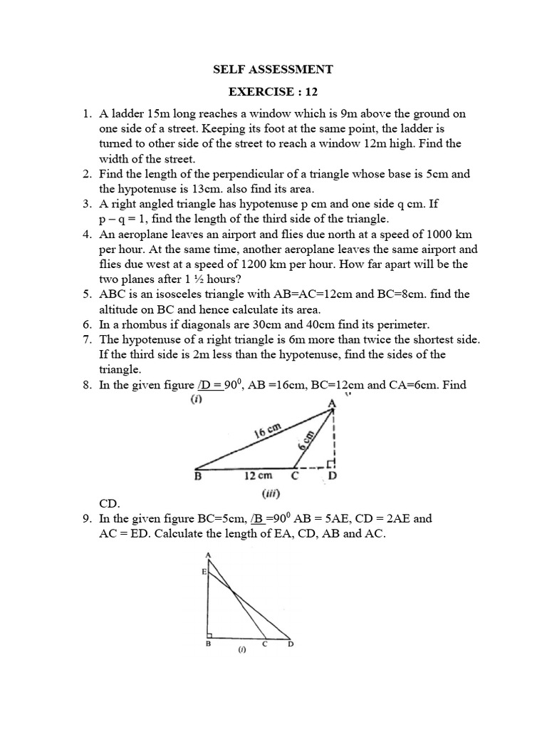 Geometry Self-Assessment Exercises | PDF