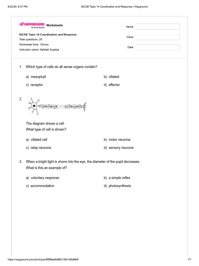IGCSE Topic 14 Coordination and Response - Wayground | PDF | Nervous ...