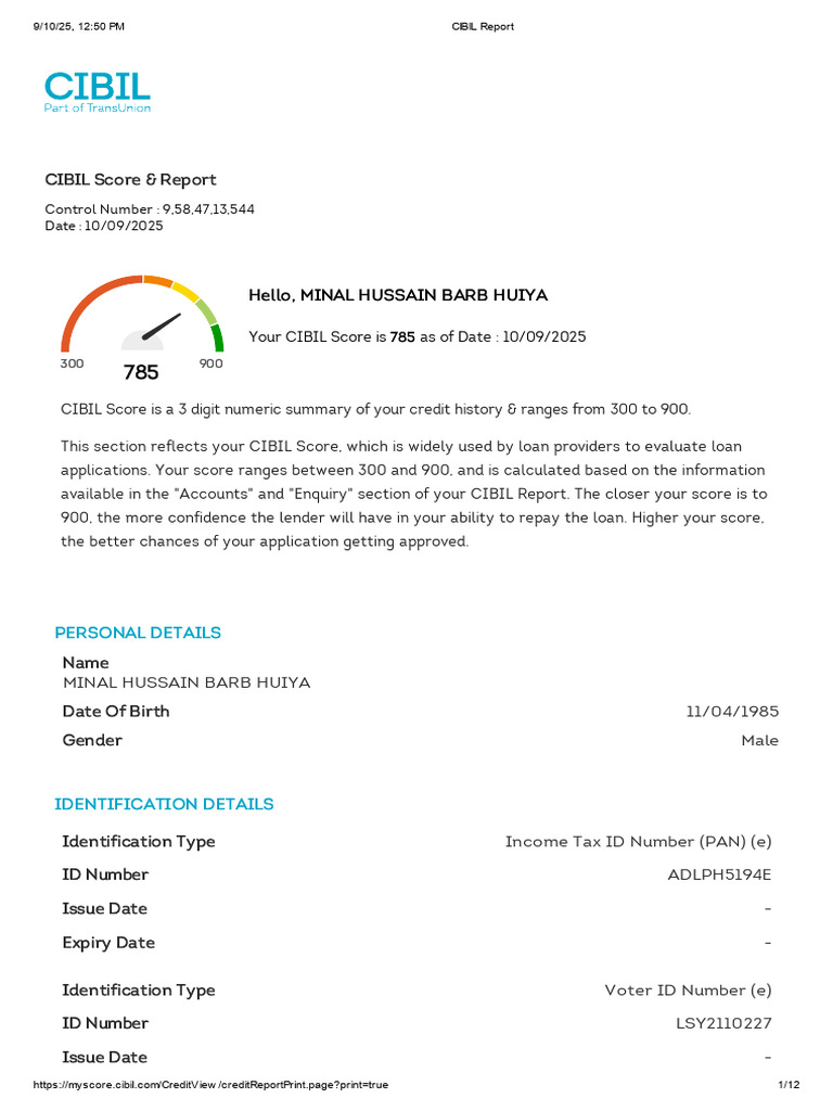 CIBIL Score Report for Minal Hussain | PDF | Credit History | Loans