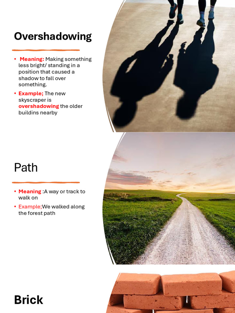 Week (2) Vocabulary | PDF