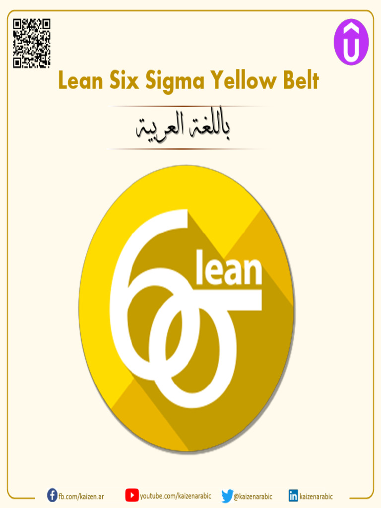 6 sigma | PDF
