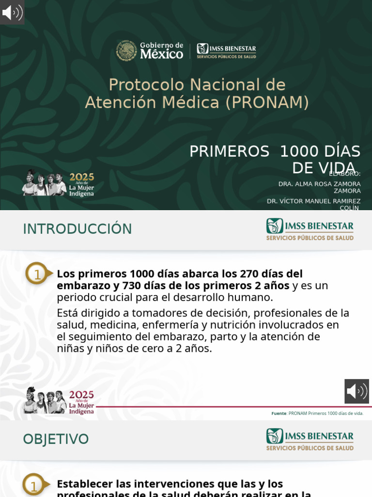 Protocolo PRONAM: Primeros 1000 Días | PDF | El embarazo | Parto