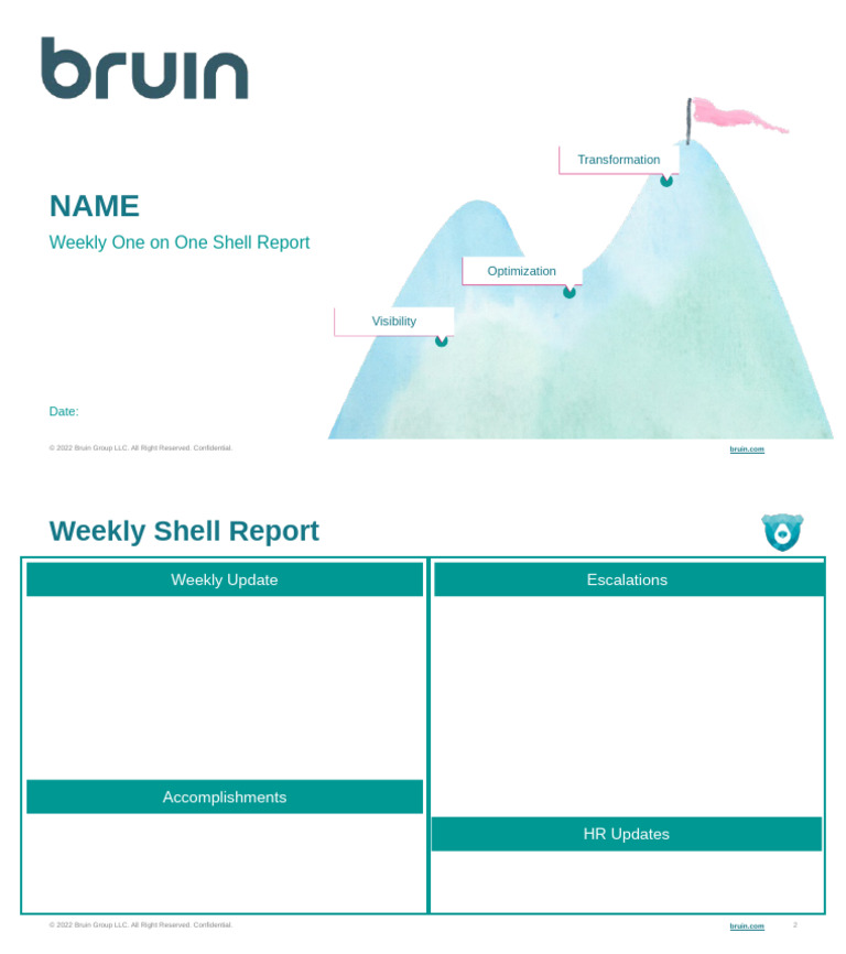 Weekly Shell Report Overview | PDF