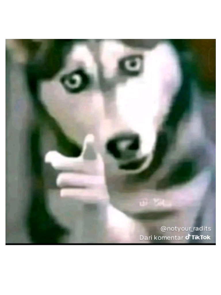 Meme Lucu | PDF